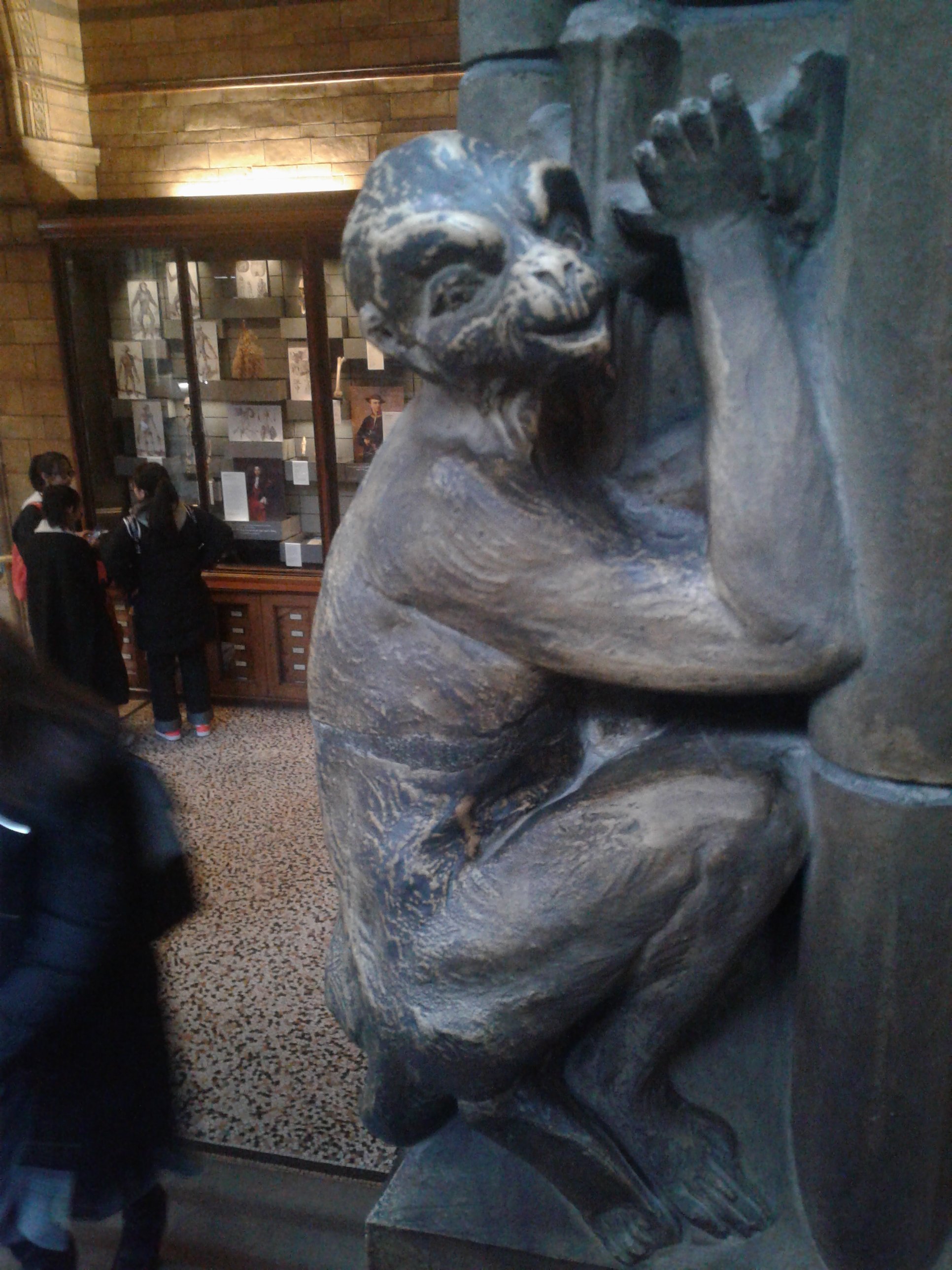 Last Chance to Visit the Natural History Museum | Museum Spaces
